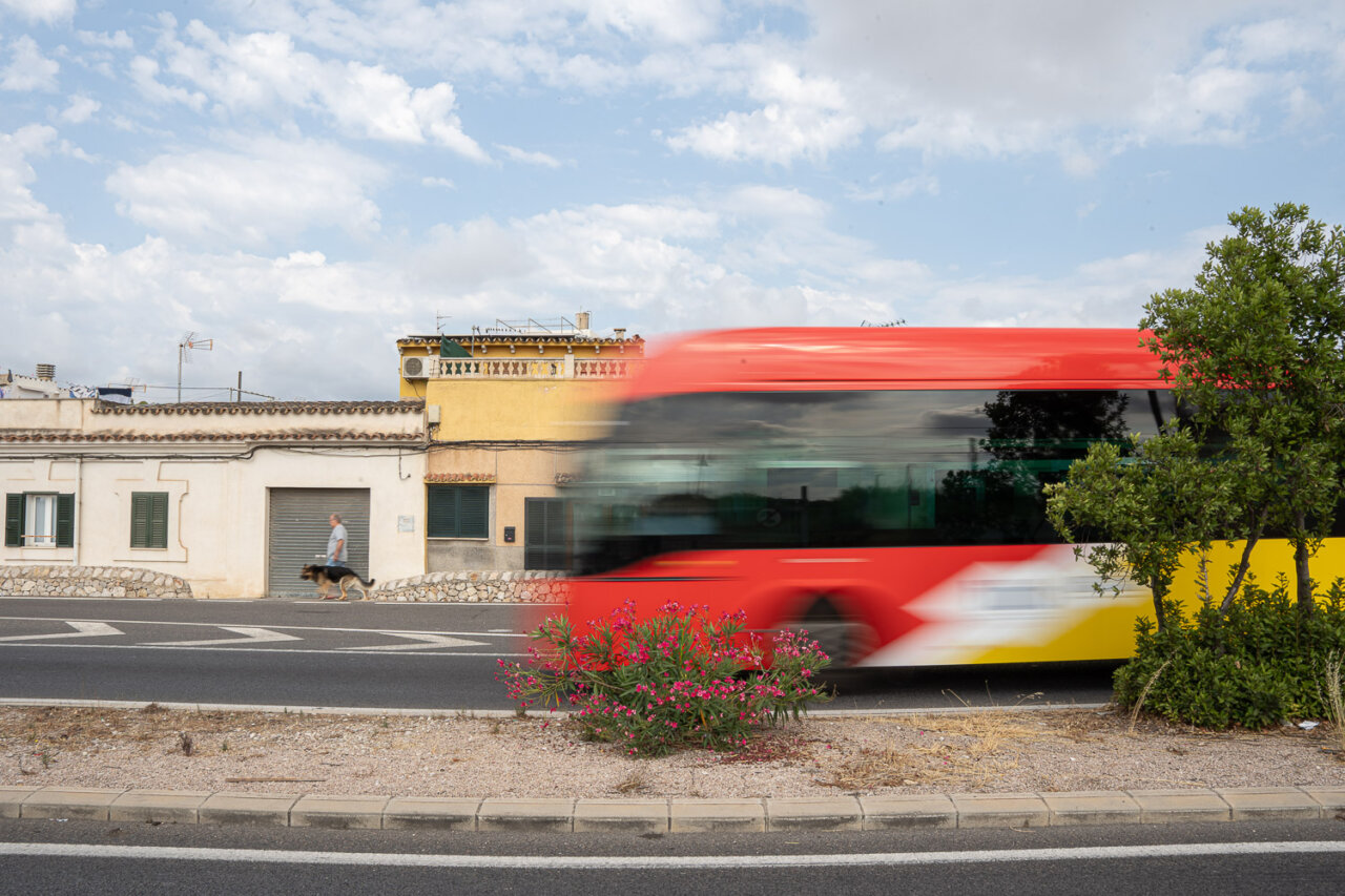 Transporte público en Mallorca: guía TIB, EMT y tren