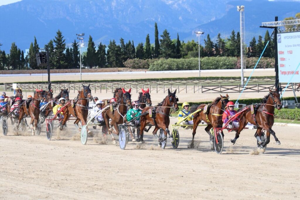 Nike de Font y Toni Valls ganan el Gran Premi Nacional de Trot ...